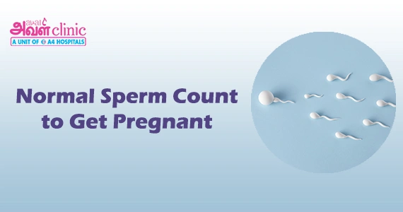 Normal Sperm Count to Get Pregnant